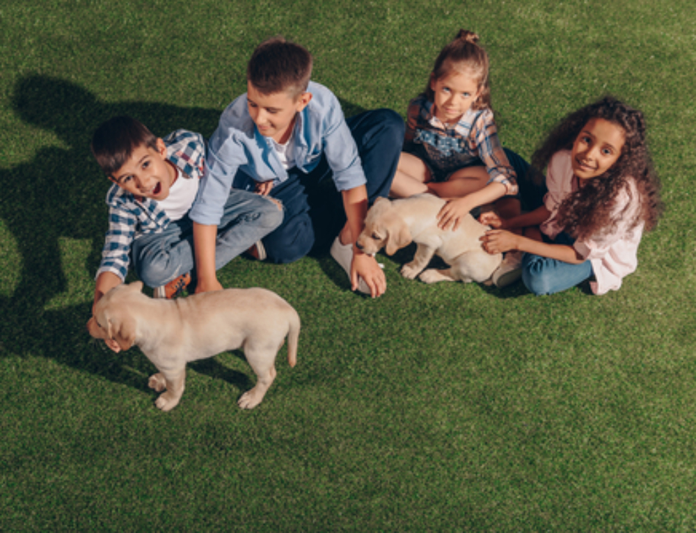 Creative Ways To Use Your Artificial Grass Off Cuts